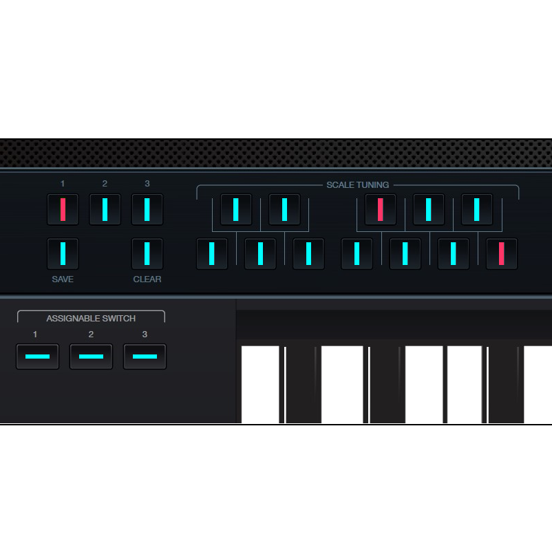 Dante ZEN – Arranger Keyboard